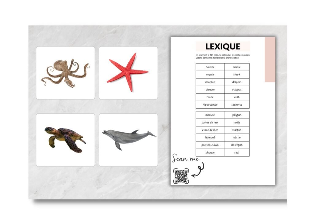 Sea Animals – Les animaux marins - The Polyglot Family